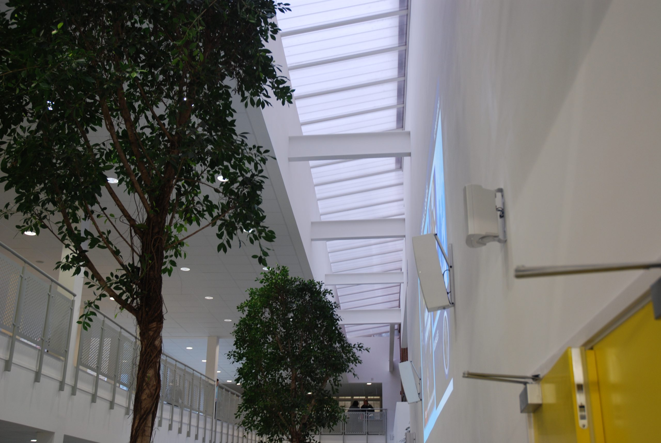 About Us | Naturalight - NLS